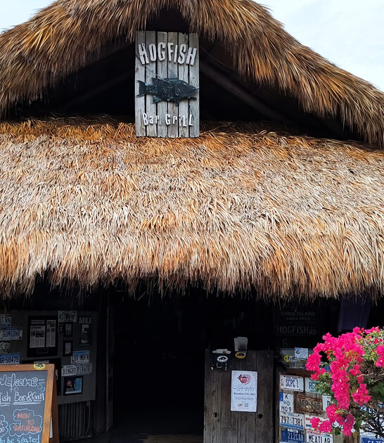 drive florida pie classic ftr