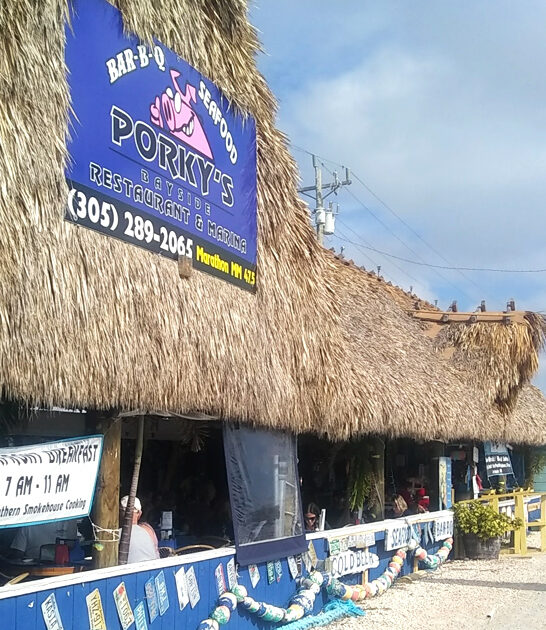 drive florida pulled pork ftr