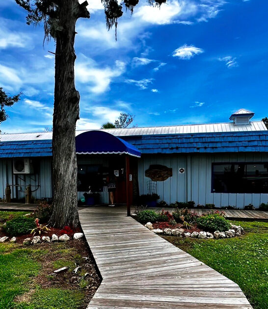 drive florida seafood restaurant ftr
