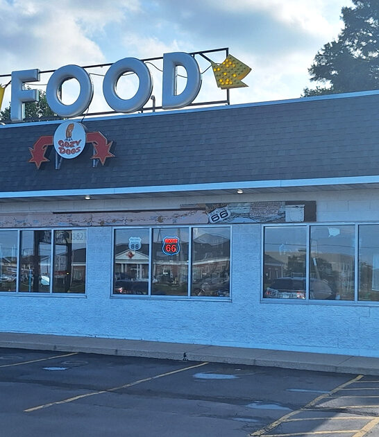 drive illinois best mushrooms ftr
