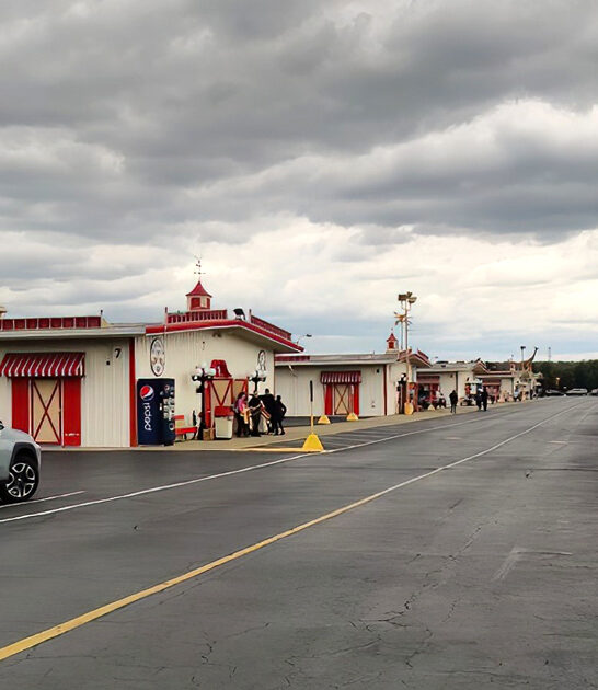 drive ohio enormous flea ftr