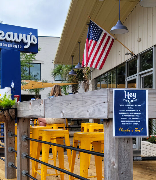 drive south carolina chicken ftr