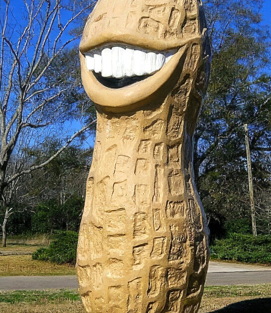 enormous attraction georgia unlike ftr