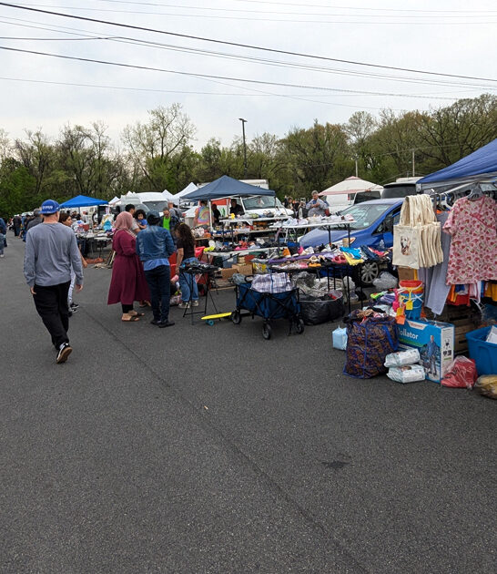 enormous flea maryland deals ftr