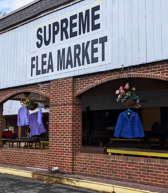 enormous flea virginia make ftr