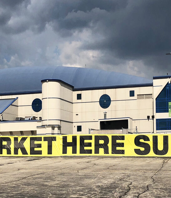 enormous illinois markets flea ftr