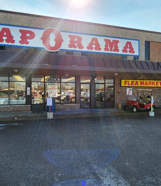 enormous market illinois flea ftr