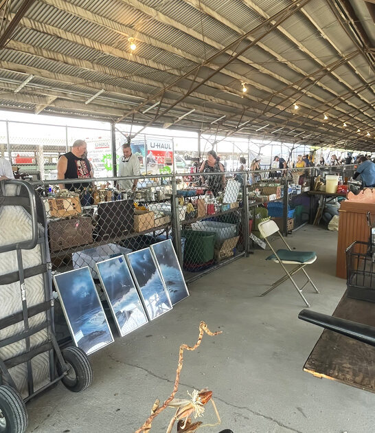 enormous market illinois thrift ftr
