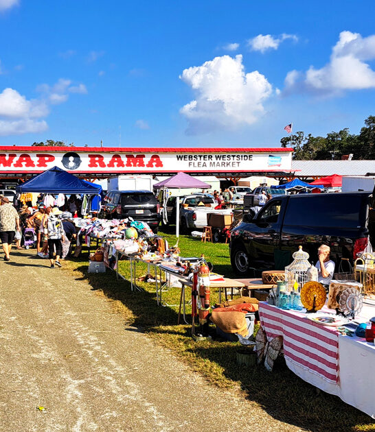 enormous markets florida true ftr