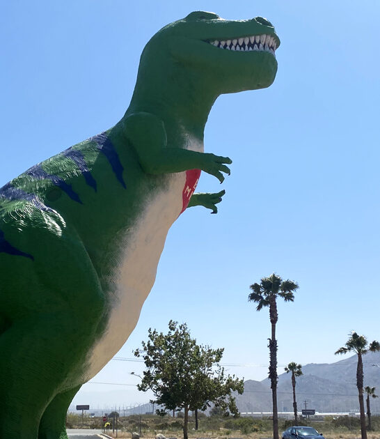 enormous roadside attraction california ftr