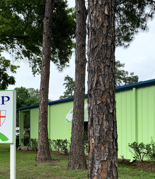 enormous shop texas affordable ftr