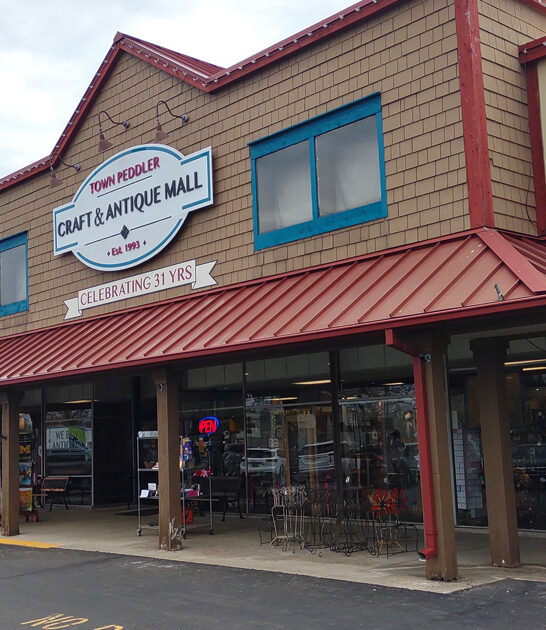 enormous vintage shop michigan FTR