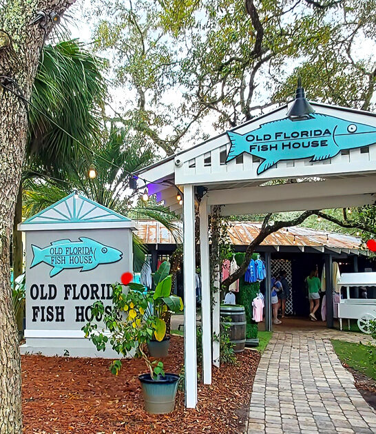 entrancing grouper spot florida ftr