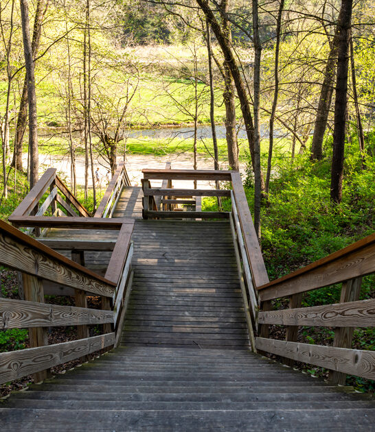 entrancing nature park illinois ftr