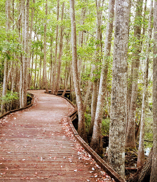 escape georgia state park ftr