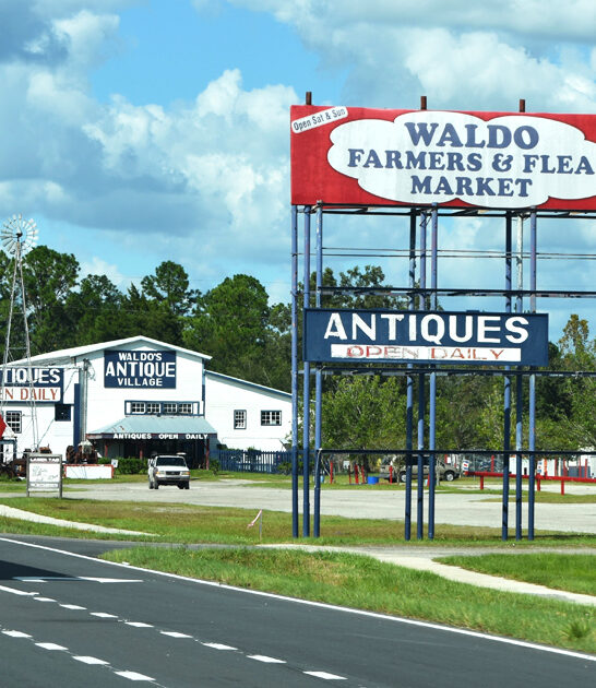 explore enormous swap florida ftr