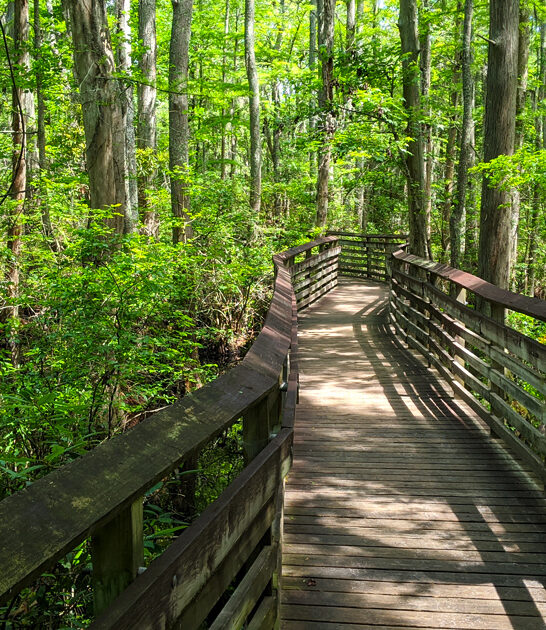 explore virginia state park ftr