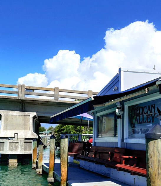 famous seafood chowder florida ftr