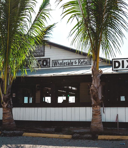 famous state seafood florida ftr