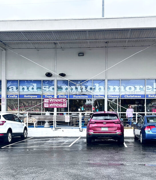 fascinating antique collection virginia ftr