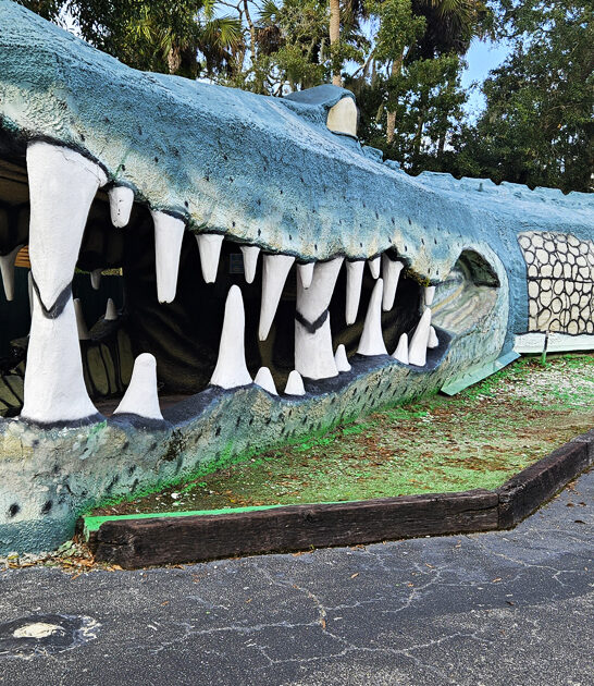 fascinating roadside florida attraction ftr