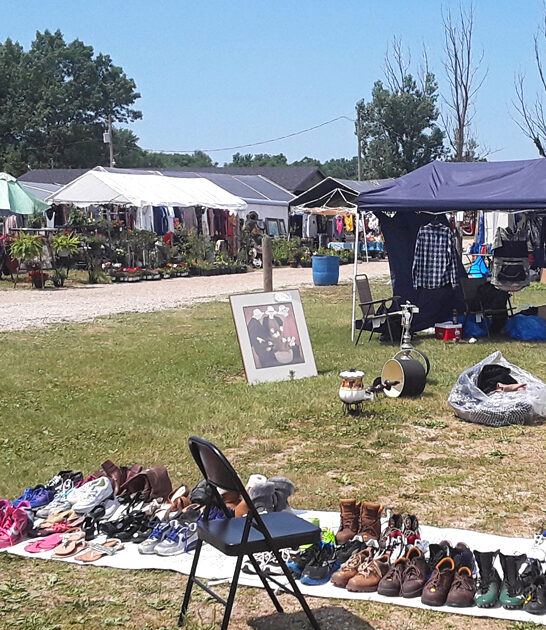 finds swap meets michigan FTR