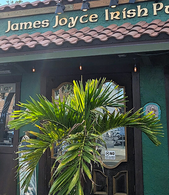 fish chips pub florida ftr
