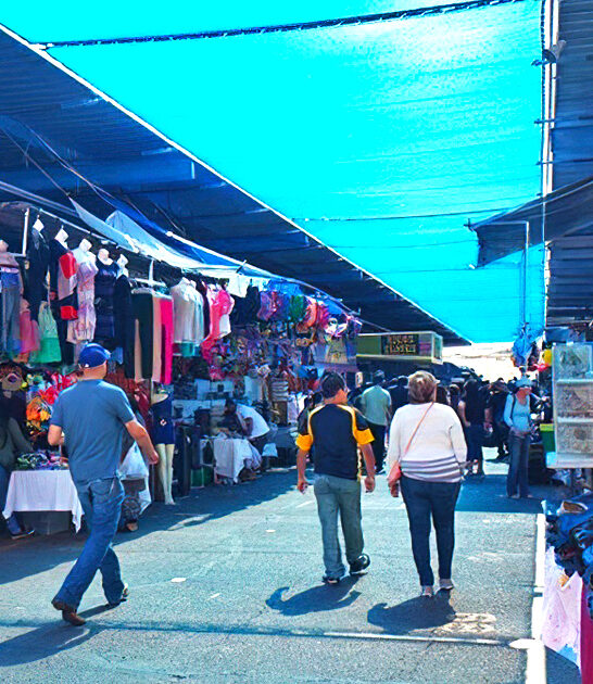 flea arizona huge market ftr