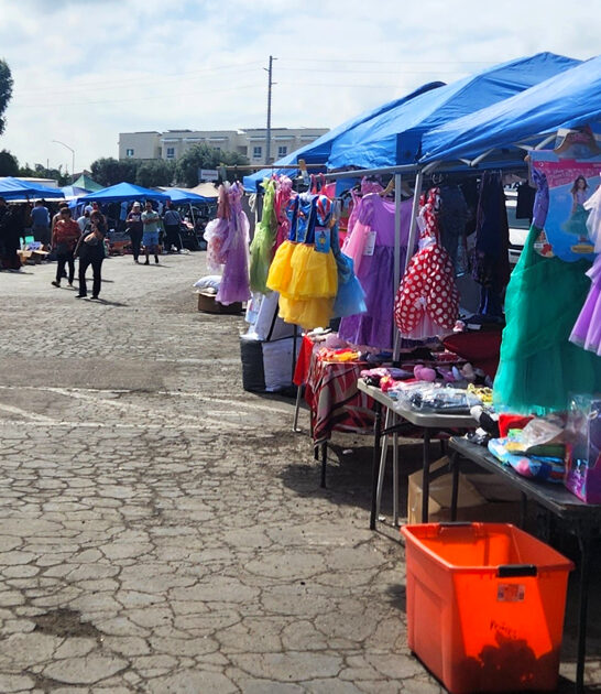 flea california bargains market ftr