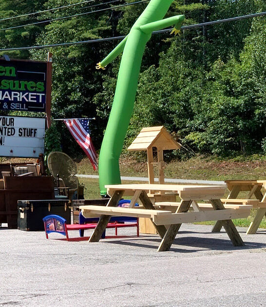 flea dreams new hampshire ftr