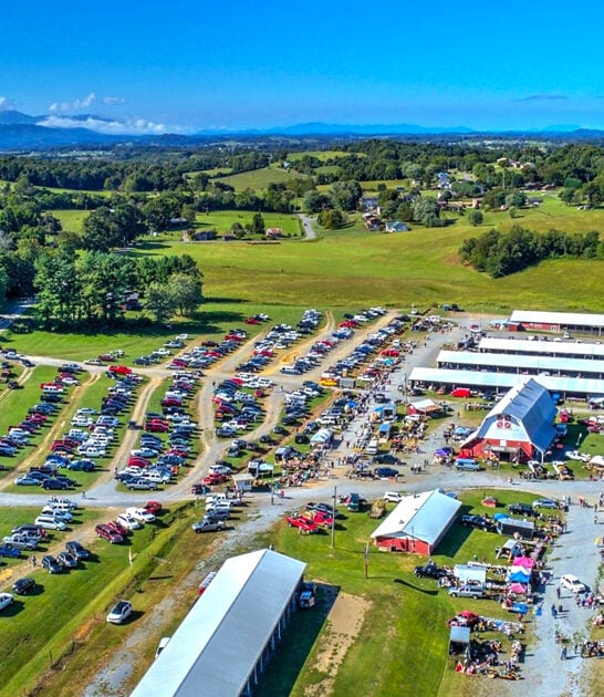 flea enormous markets tennessee ftr
