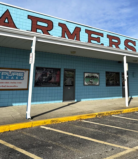 flea gigantic new jersey ftr