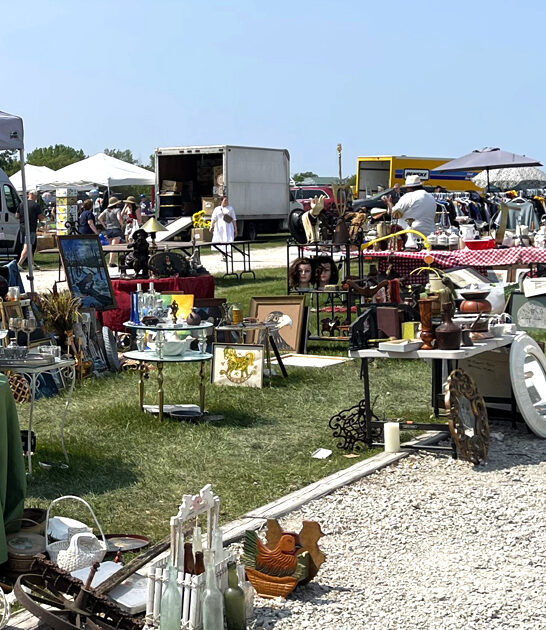 flea illinois markets ftr