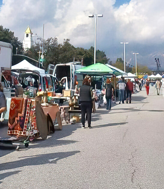flea market california gold FTR
