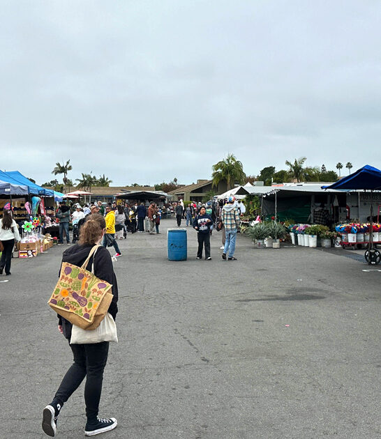 flea market dream california FTR
