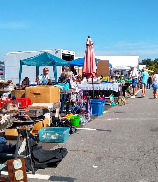 flea market huge tennessee ftr