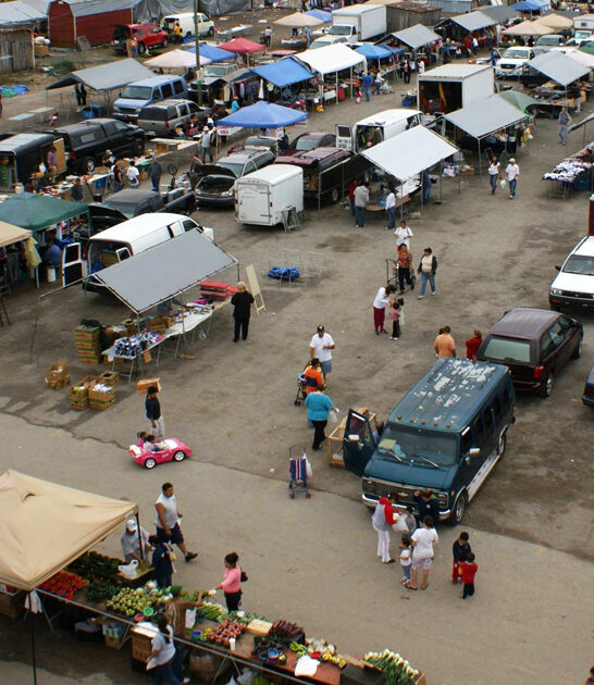 flea market incredible florida ftr