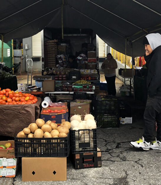 flea market massive maryland ftr