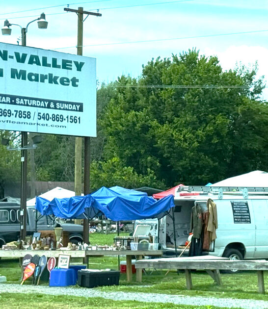 flea market virginia bargains FTR