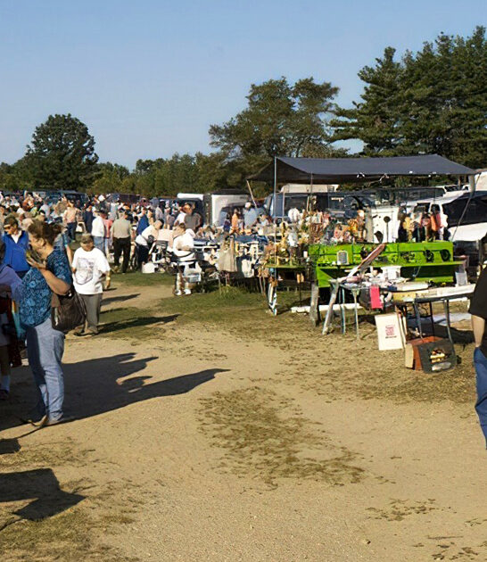 flea markets michigan ftr