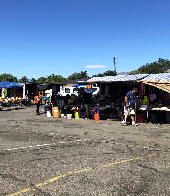 flea markets nevada enormous ftr
