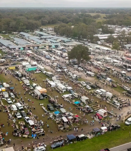 flea massive markets florida ftr