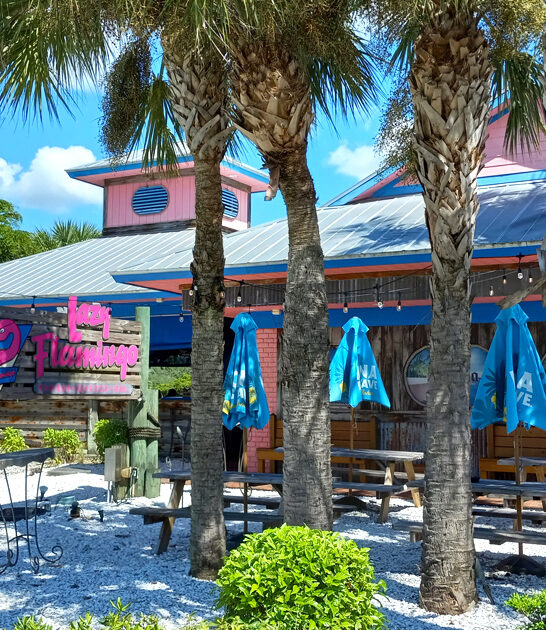 florida best cheeseburgers restaurant ftr