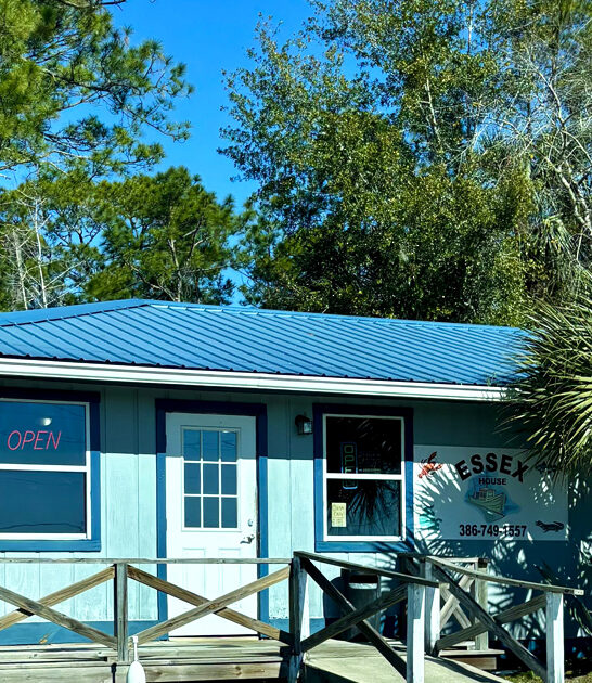 florida best fried grouper ftr