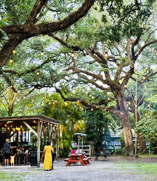 florida bison burger delicious ftr
