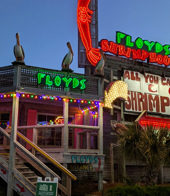florida bites gator restaurant ftr