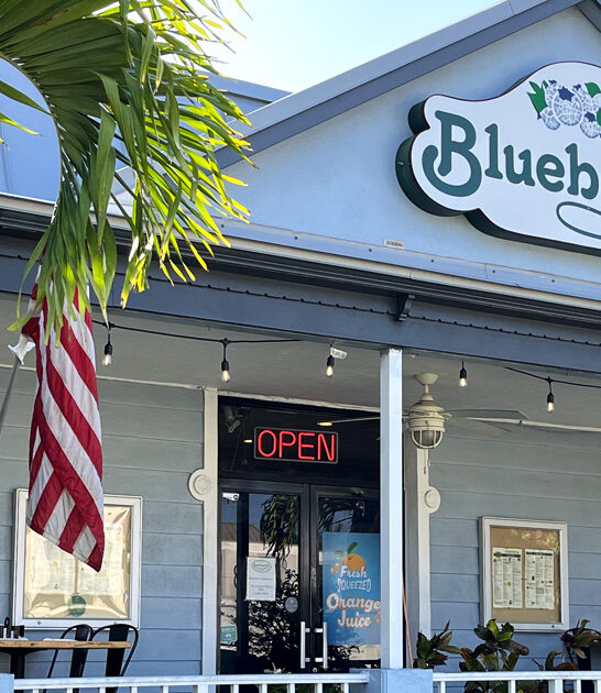 florida blueberry pancakes best ftr