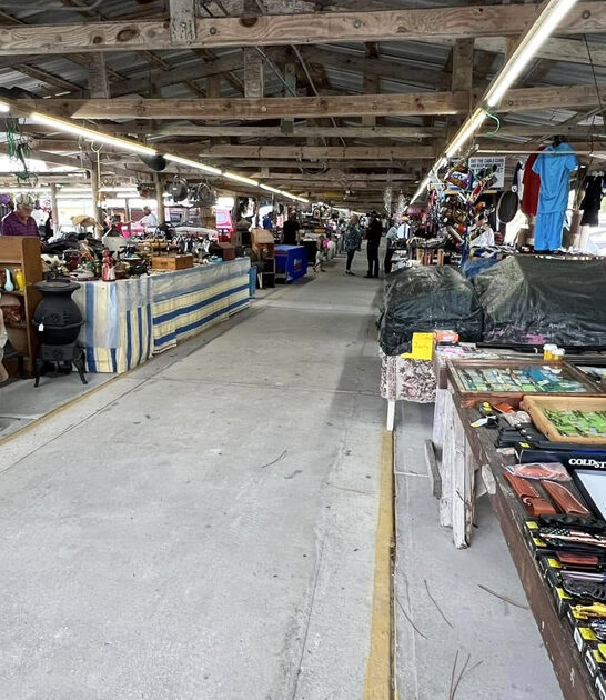 florida cheap flea market ftr
