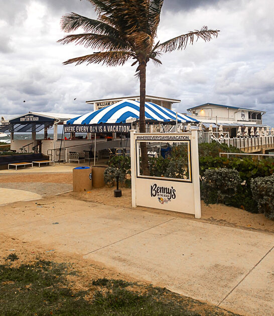 florida chips fish restaurant ftr