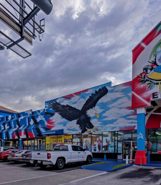 florida colossal affordable price ftr